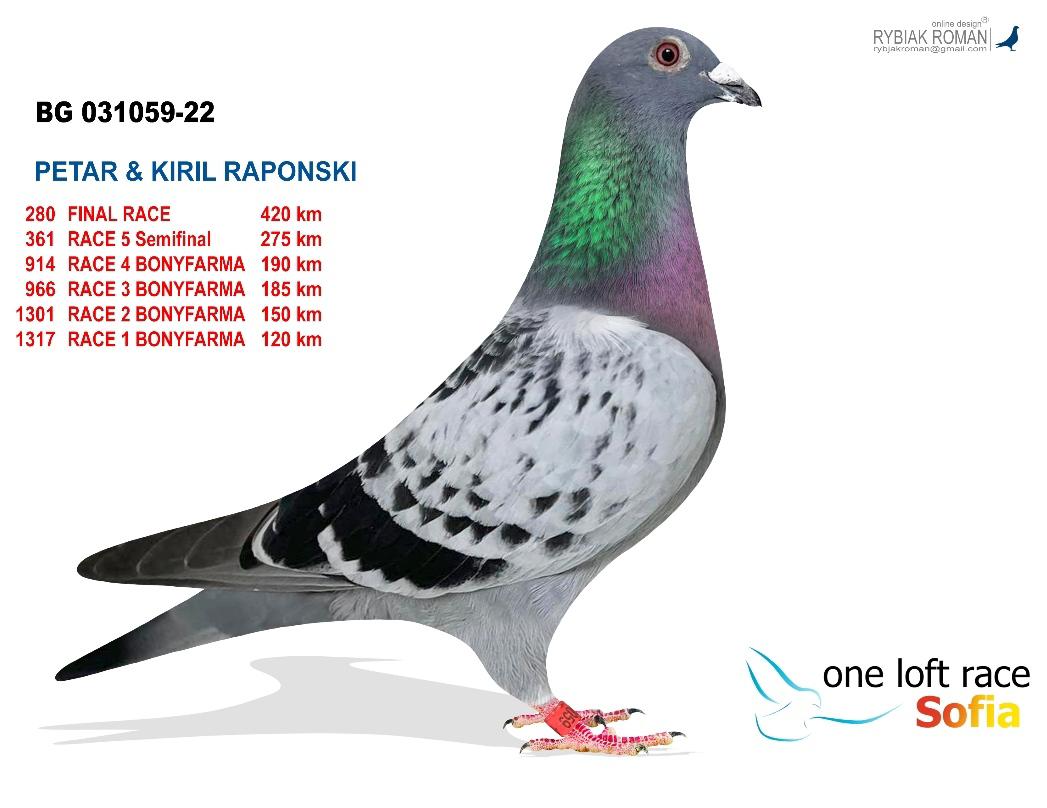 Aykut Gürer Özel Seri