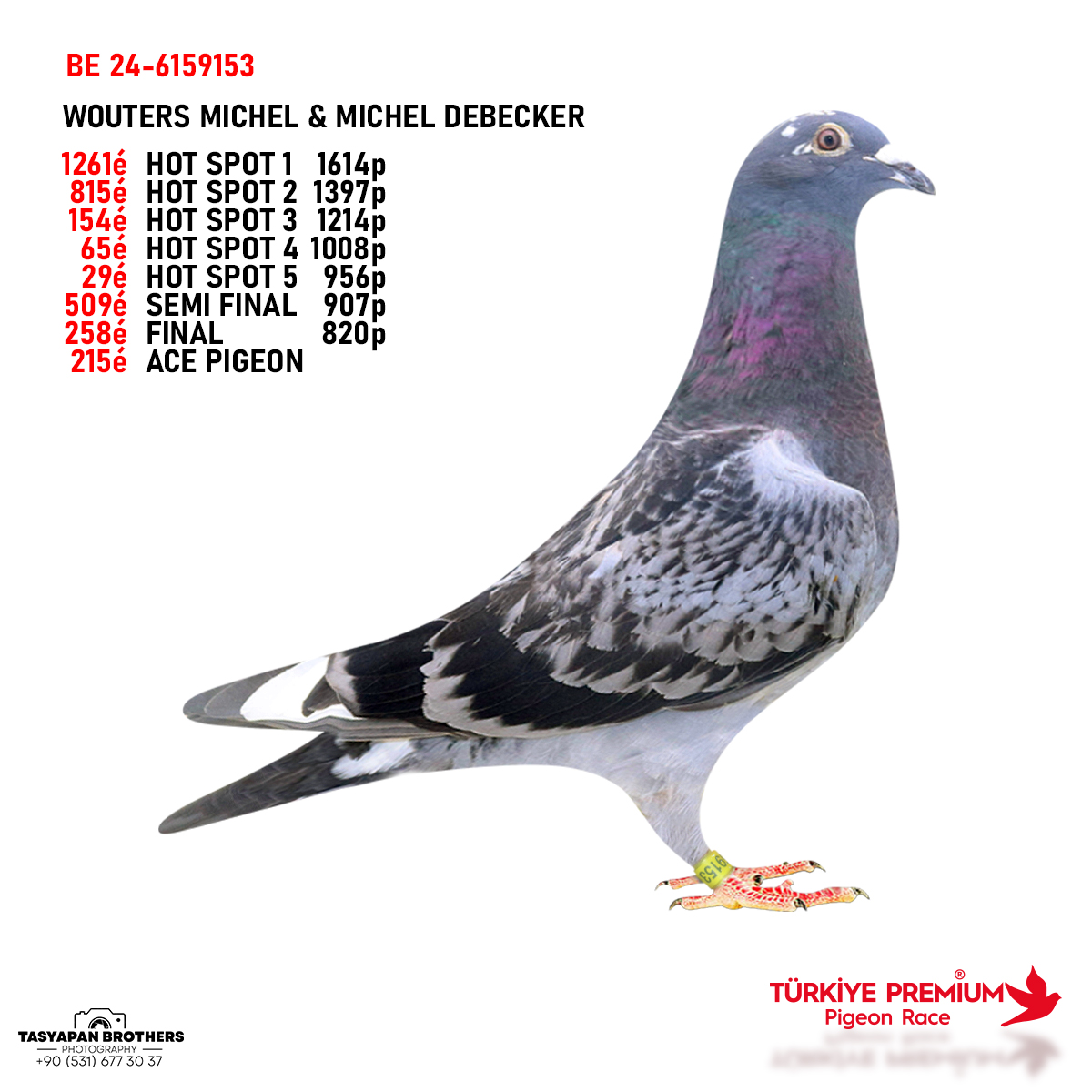 WOUTERS MICHEL & MİCHEL D